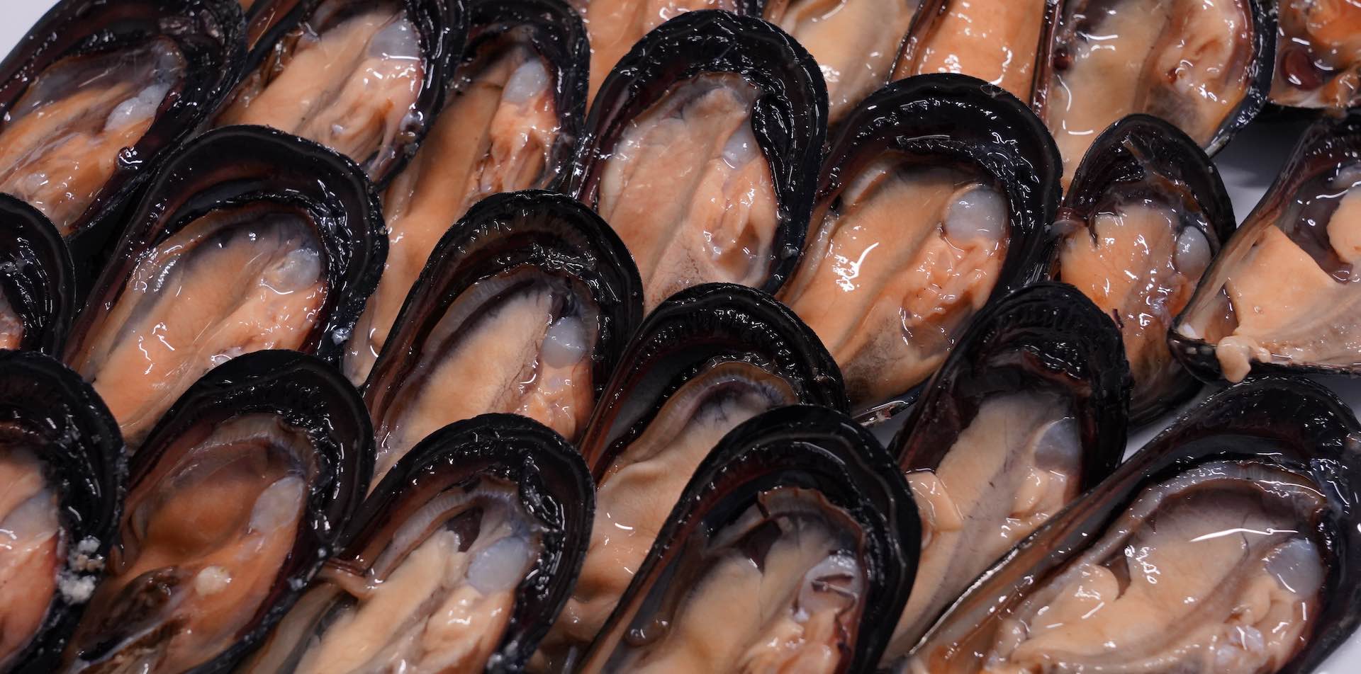 Cozza Viva in Vassoio A.P. - La Castrense